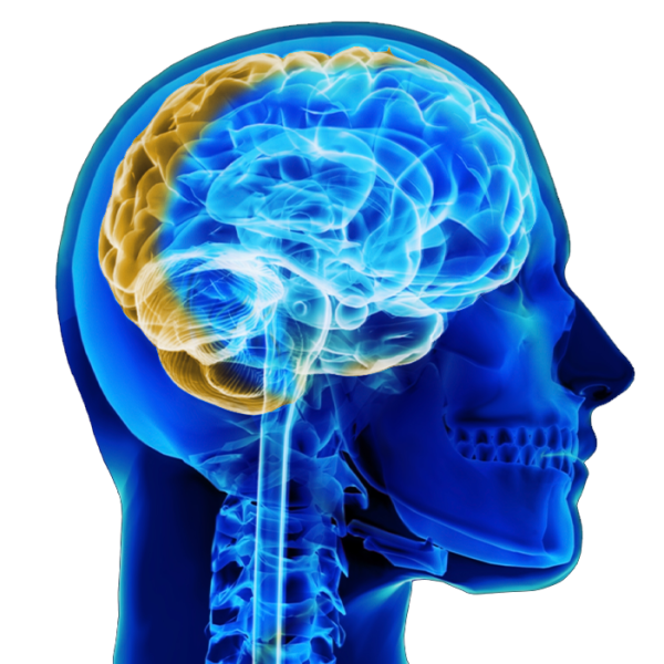 Occipital Neuralgia Ropsc
